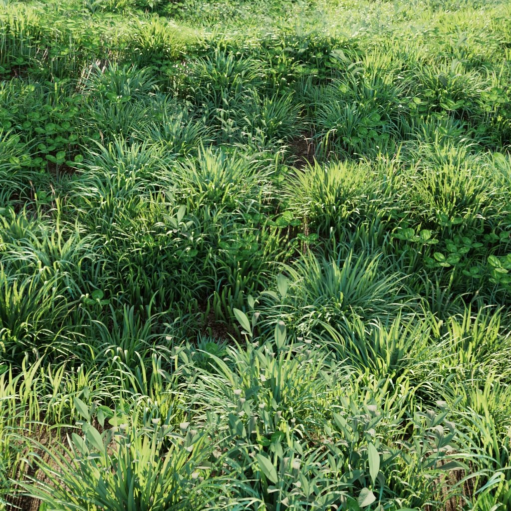 Grass - Realistic | Grass models | BlenderKit