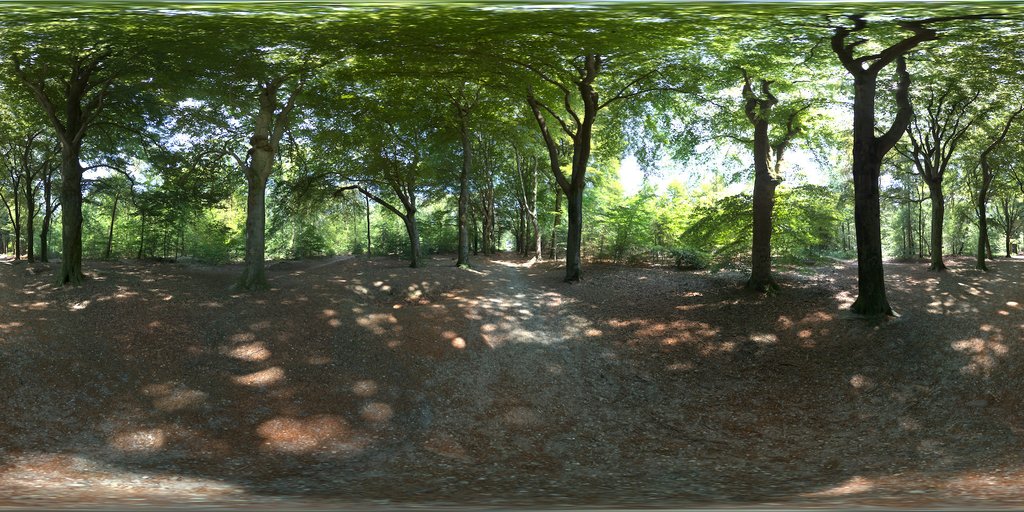 Dutch Forest Lane with Beech Trees | FREE Nature HDRis | BlenderKit