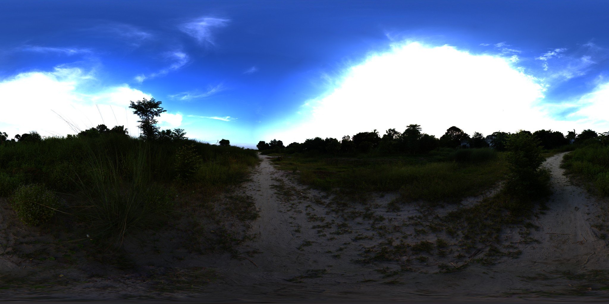 Dense Greenery HDRI | FREE Nature HDRis | BlenderKit