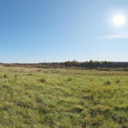 Autumn Field | FREE Abstract HDRis | BlenderKit