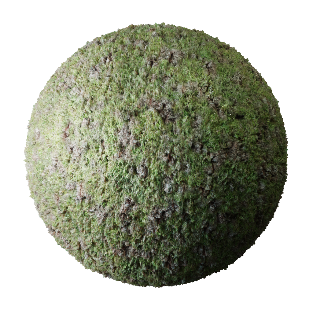 Bark Oak Moss | FREE organic materials | BlenderKit