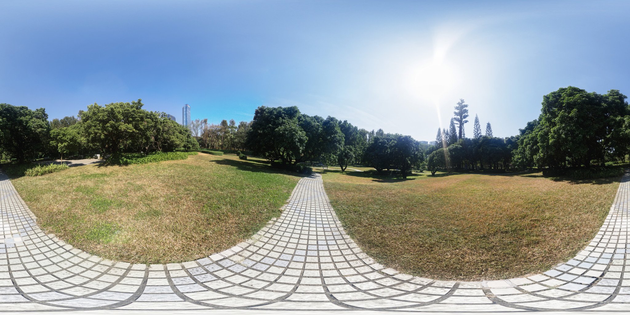 Paving the road at noon | Nature HDRis | BlenderKit