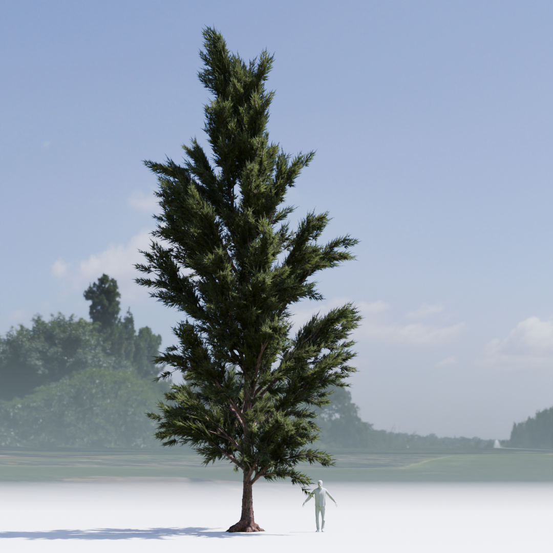 Pine Tree Low Poly variation | Trees models | BlenderKit