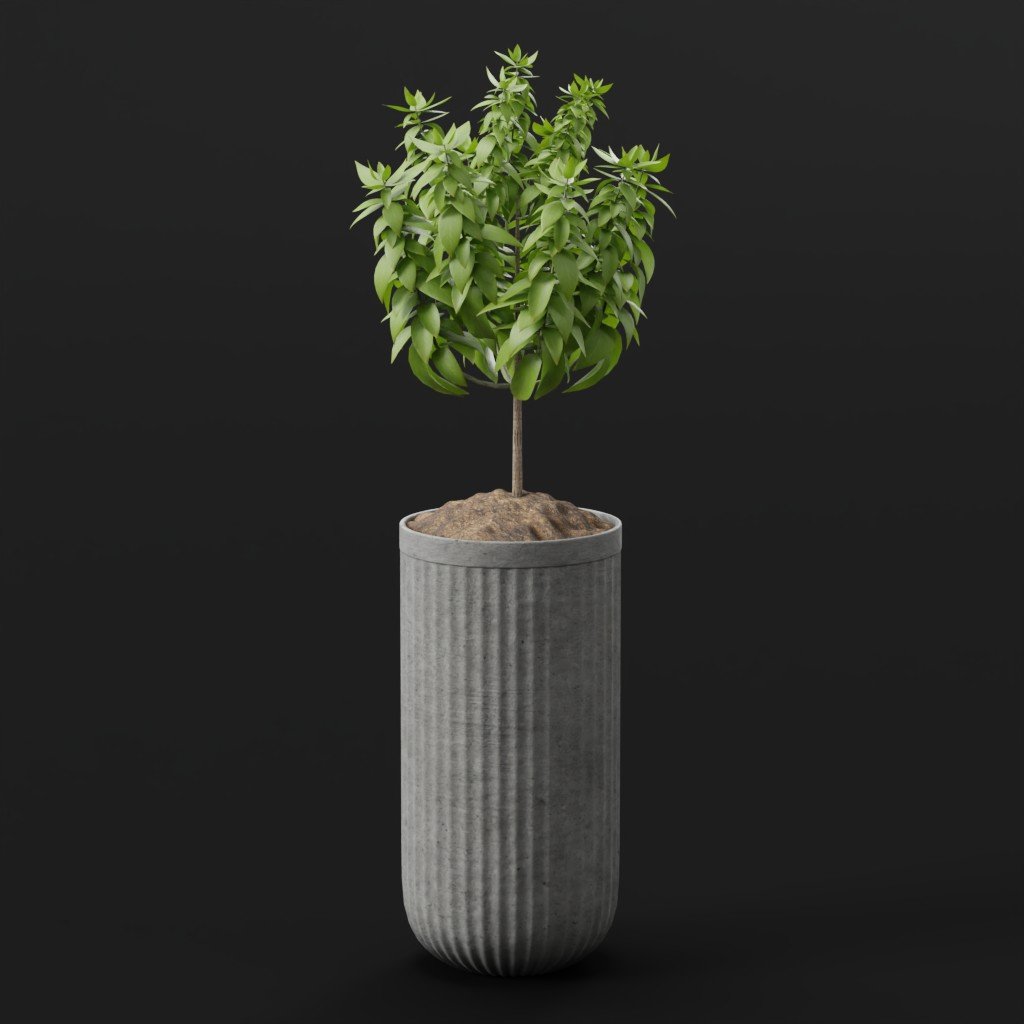 Minimal Topiary Tree Pot | Indoor Plants models | BlenderKit