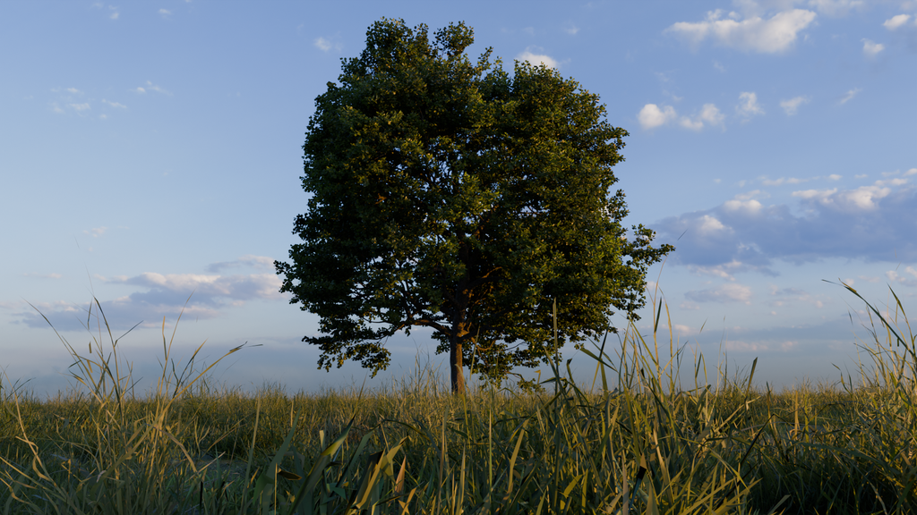 Nature animation | FREE Nature scenes | BlenderKit