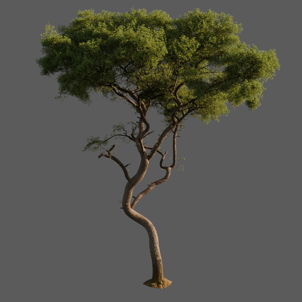 Forest | FREE Trees models | BlenderKit