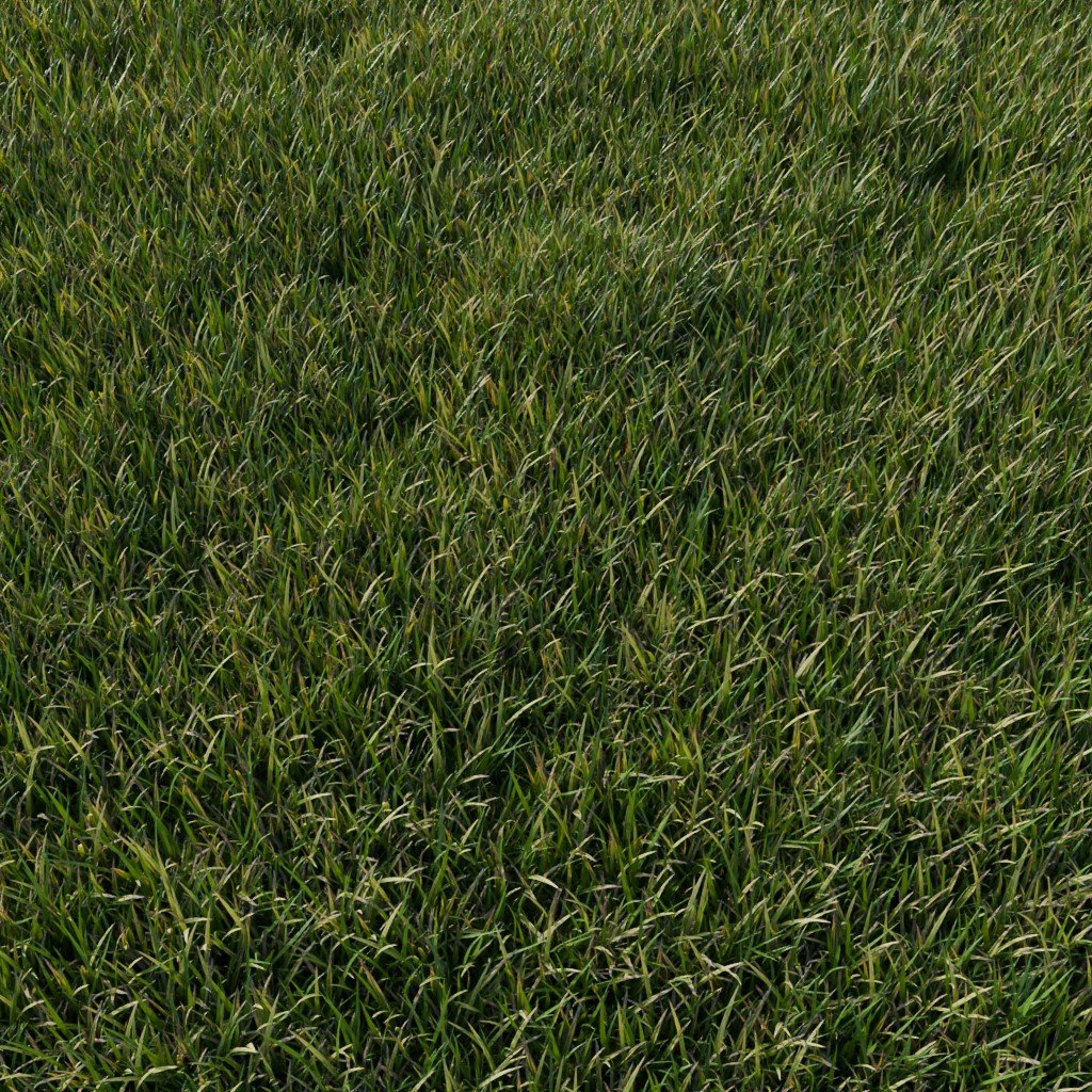 Garden Lawn Grass Grown | Grass models | BlenderKit