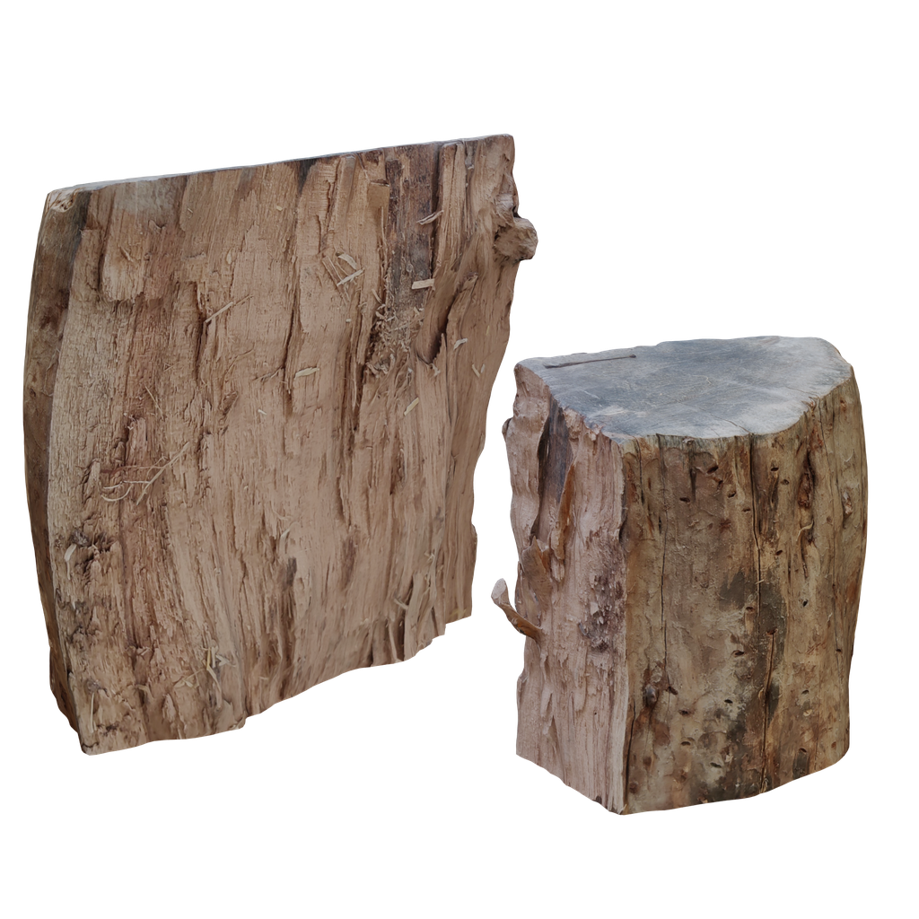 Trunk Half cutted | FREE Trees models | BlenderKit