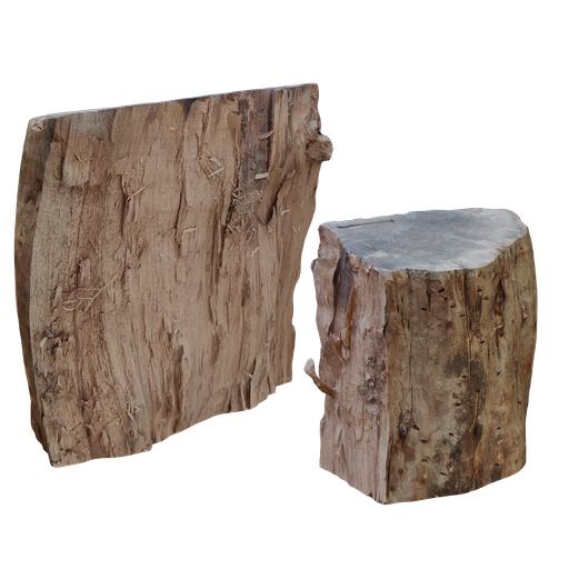 Trunk Half cutted | FREE Trees models | BlenderKit
