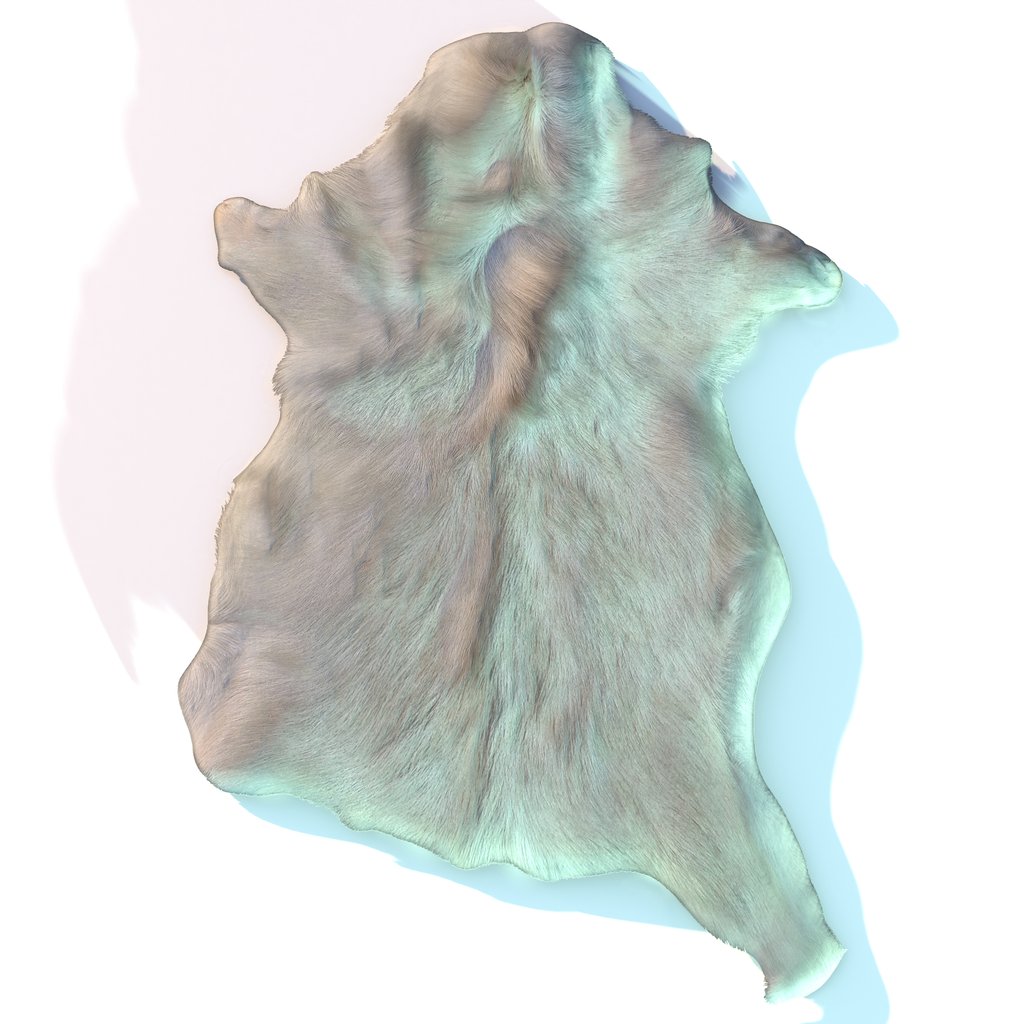 Goat pelt | Mammals models | BlenderKit