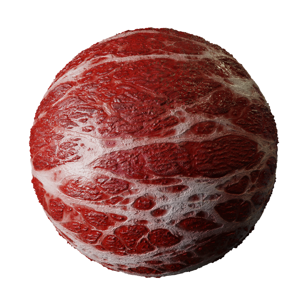 Meat Muscle Tissue | FREE organic materials | BlenderKit