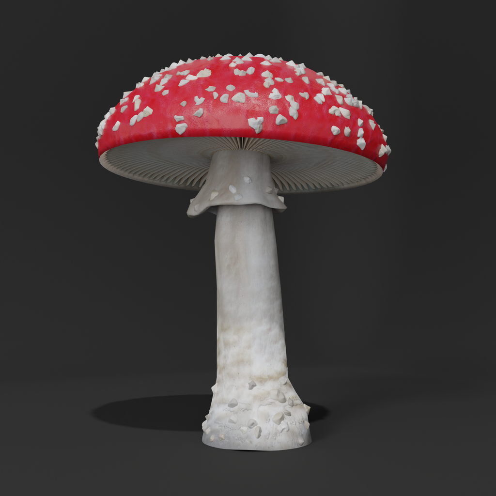 BlenderKit | Download the FREE Toadstool model