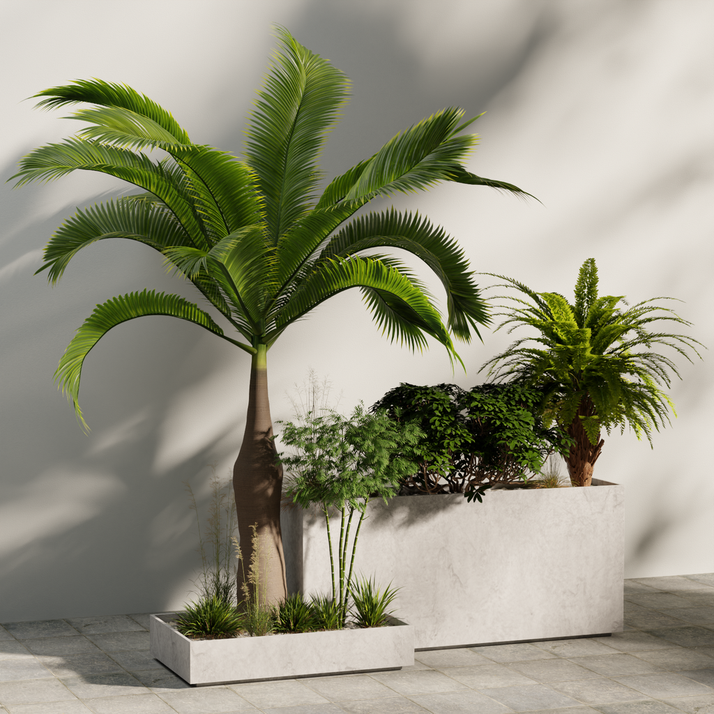Tropical Green Planter Set | Indoor Plants models | BlenderKit