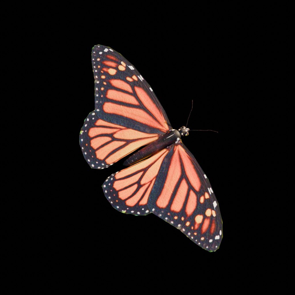 Real Butterfly | Insects models | BlenderKit