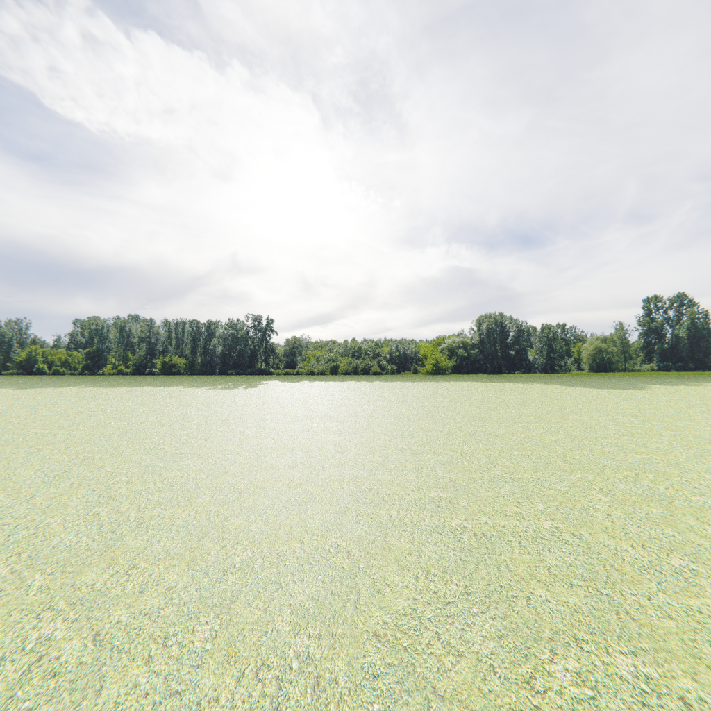 Greenleaf Treeline Backdrop 007 | FREE Trees models | BlenderKit