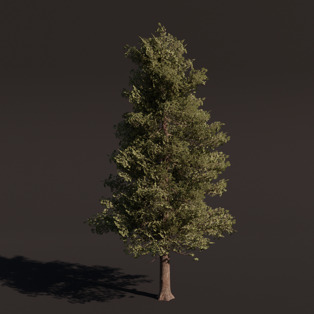Cut log 04 - remeshed photoscan | FREE 3D Tree models | BlenderKit
