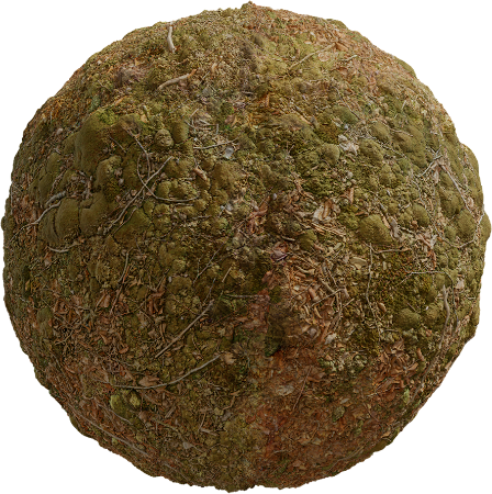 Forest Leaves 02 | FREE organic materials | BlenderKit