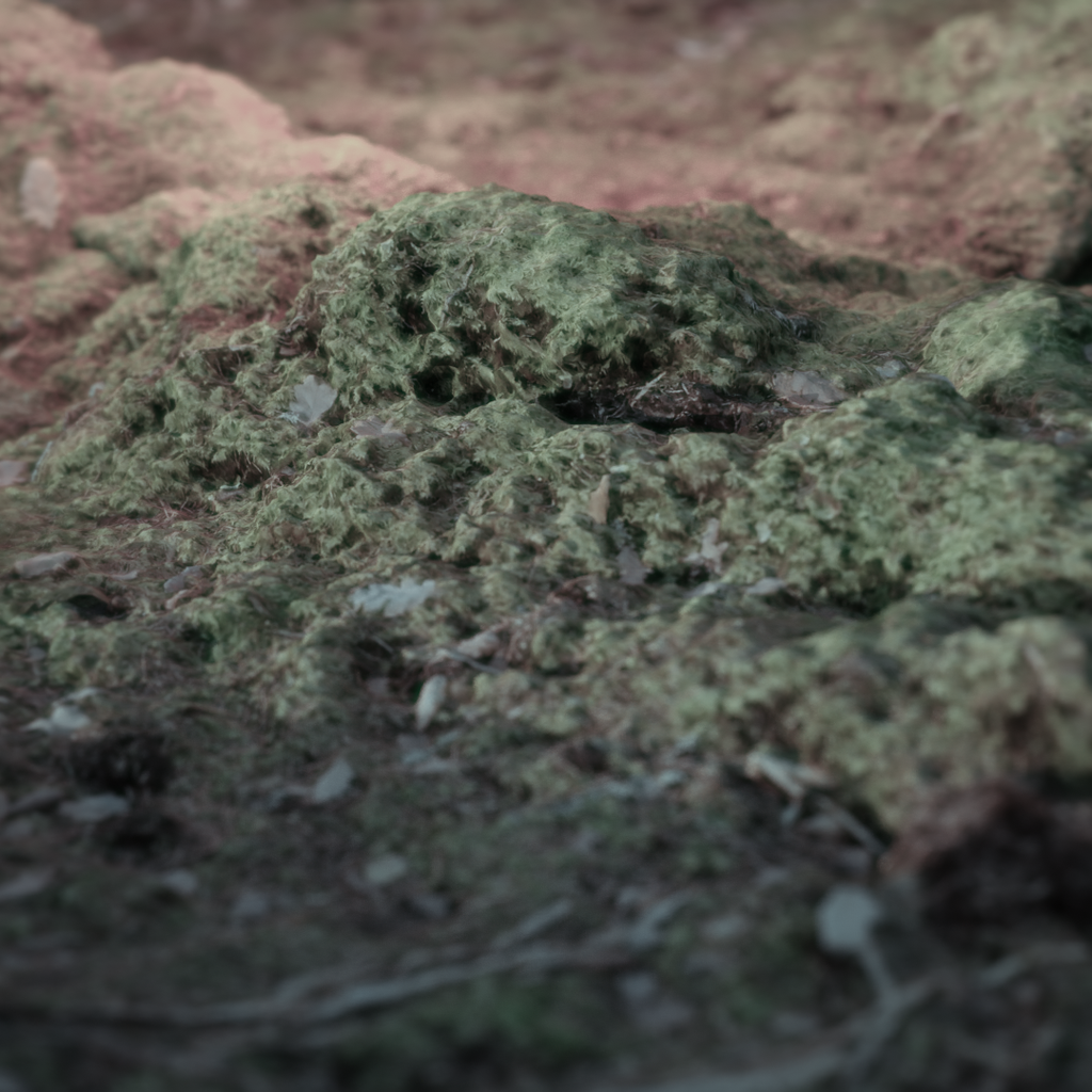 BlenderKit | Download the FREE Bumpy ground model