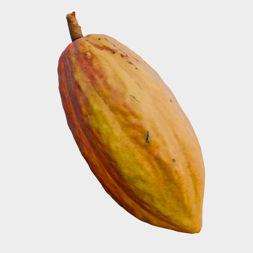 Cacao | Fruit & Vegetables models | BlenderKit
