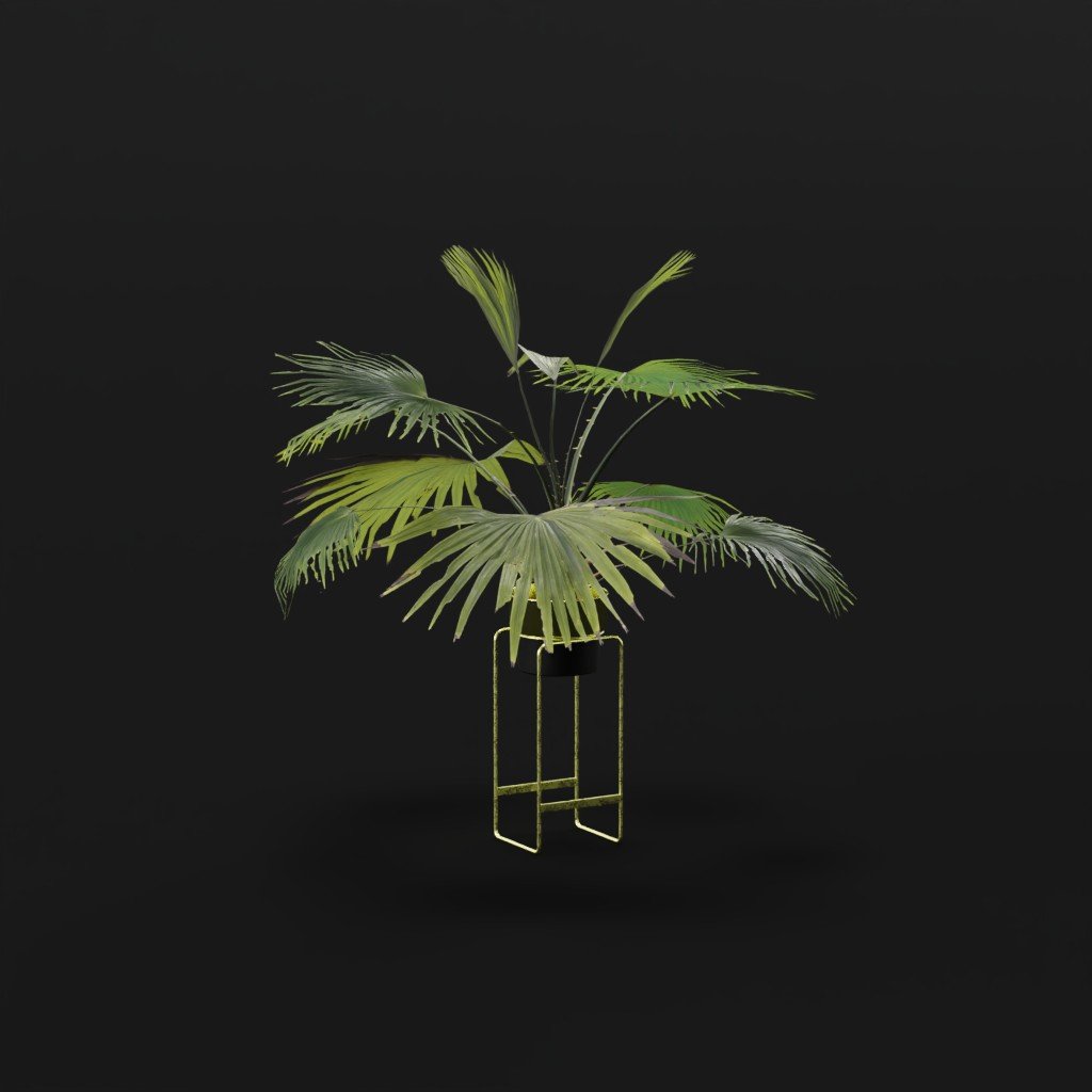 Fan Palm Young Potted | Indoor Plants models | BlenderKit