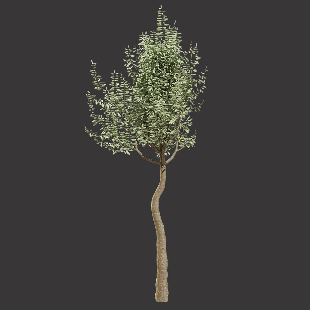 Stylized Twisted Tree | Trees models | BlenderKit