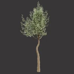 Stylized Twisted Tree | Trees models | BlenderKit