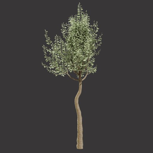 Stylized Twisted Tree | Trees models | BlenderKit