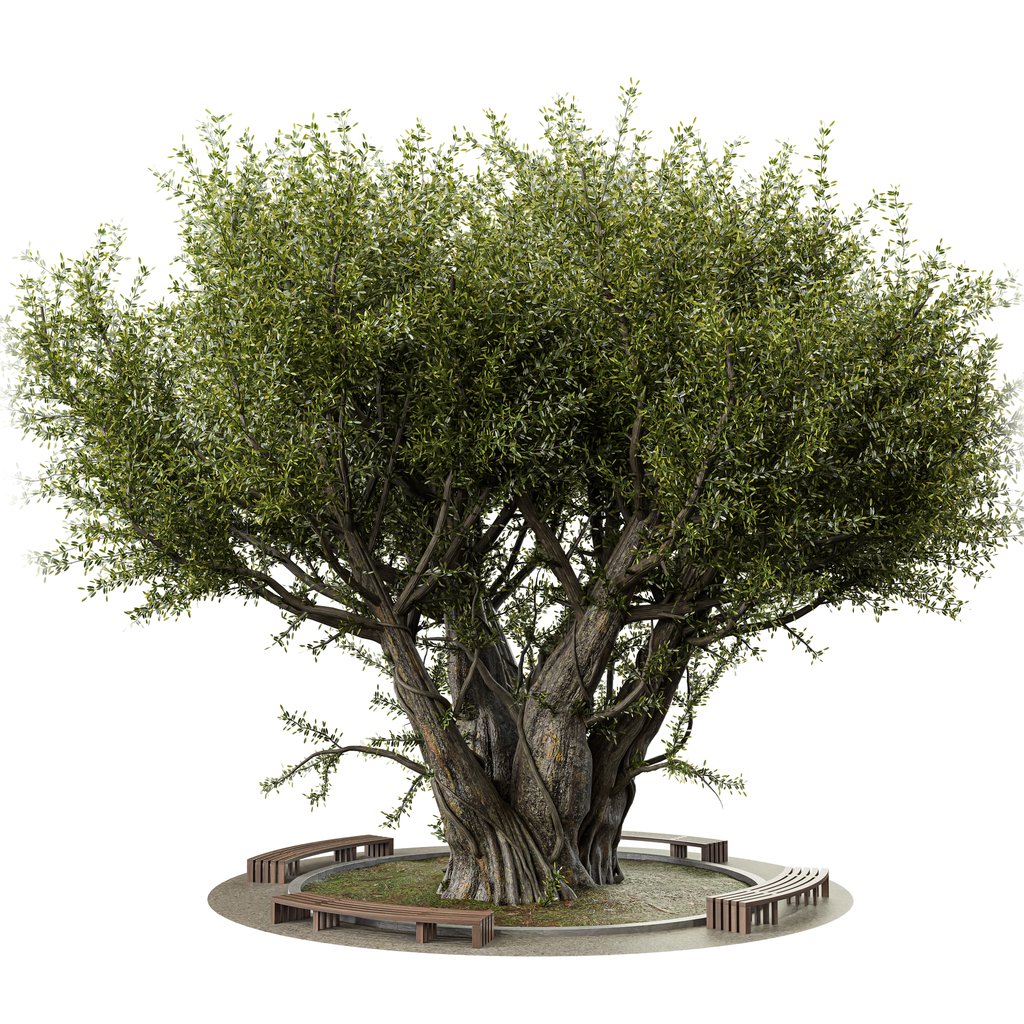 Bench tree | Trees models | BlenderKit