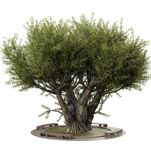 Cut log 04 - remeshed photoscan | FREE Trees models | BlenderKit