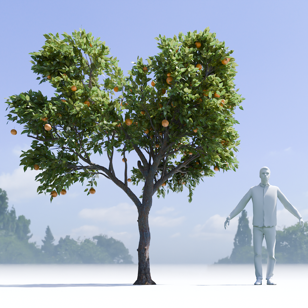 Orange Tree | Trees models | BlenderKit