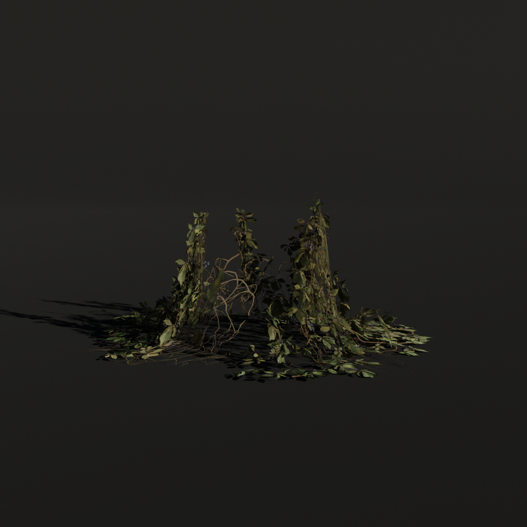 Creepers Vine b5 | Trees models | BlenderKit