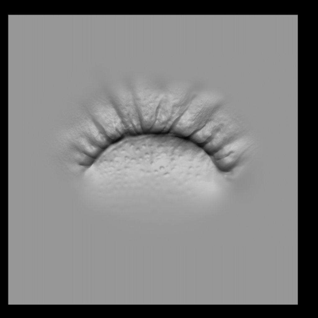 NS Sea Creature gill | animal brushes | BlenderKit