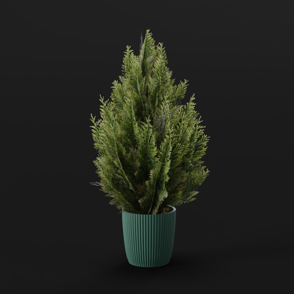 Red Cedar Bush Med Pot | Outdoor Plants models | BlenderKit