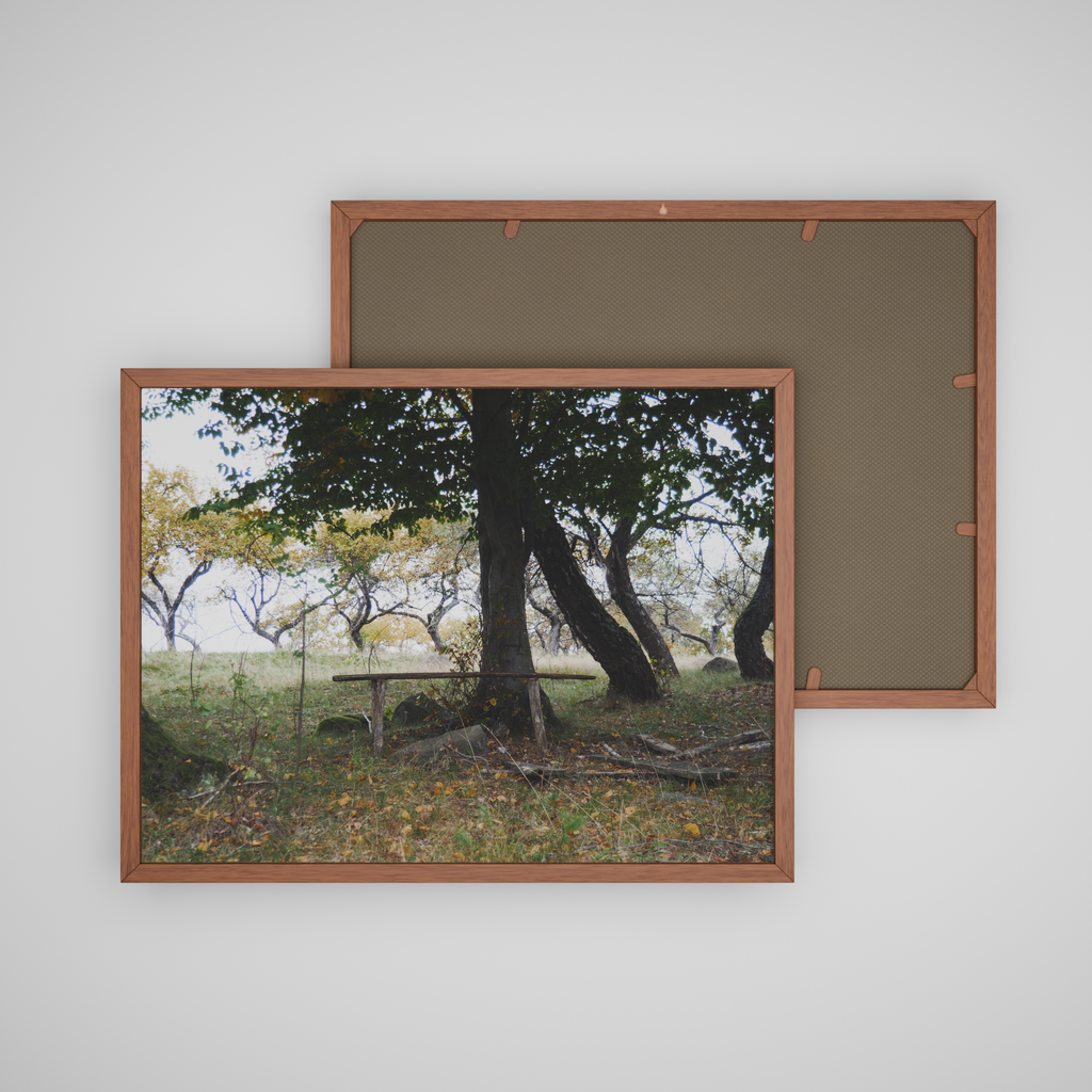 Autumn colection picture 3 | FREE Decorative Pictures models | BlenderKit