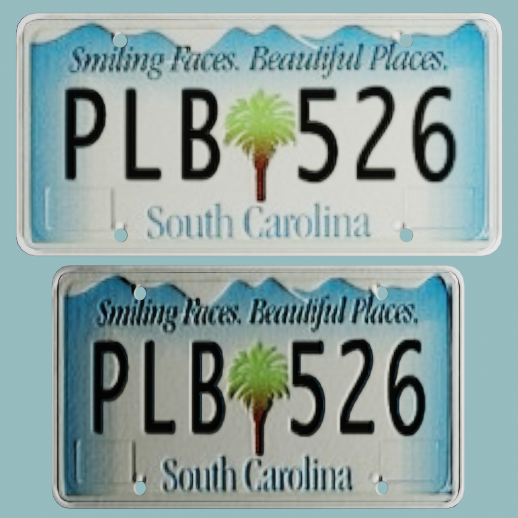 South Carolina Licence plate PL | FREE Vehicle Parts models | BlenderKit