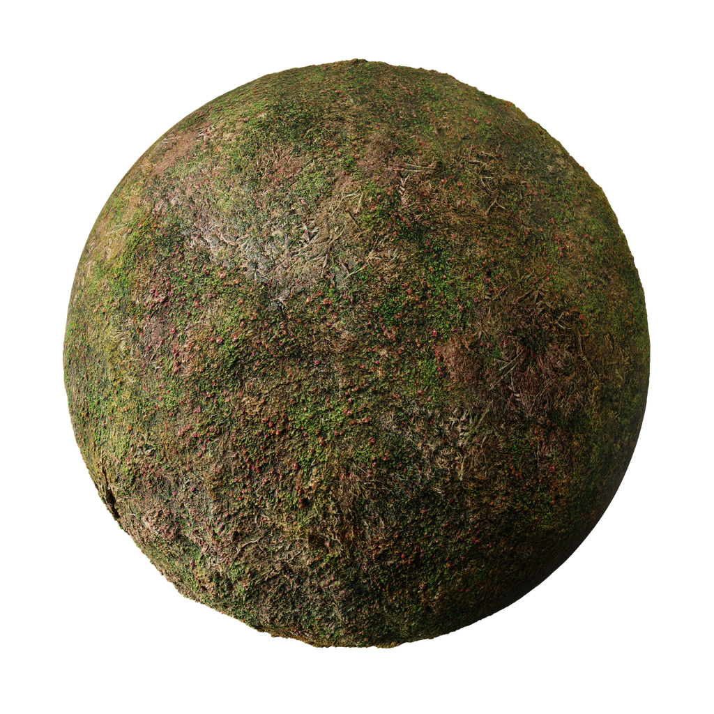 Grass 04 | FREE grass materials | BlenderKit