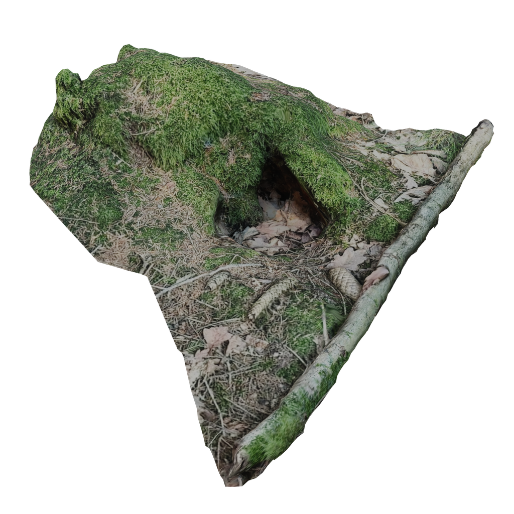 Burrow hole 3D Scanned | FREE Environment Elements models | BlenderKit