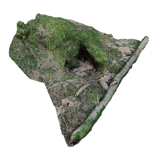 Burrow hole 3D Scanned | FREE Environment Elements models | BlenderKit