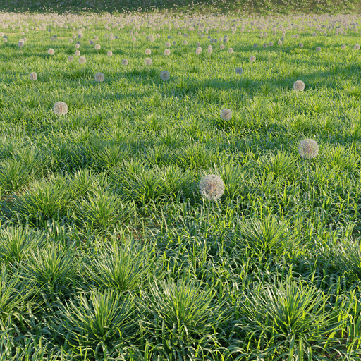 Grass | Grass models | BlenderKit