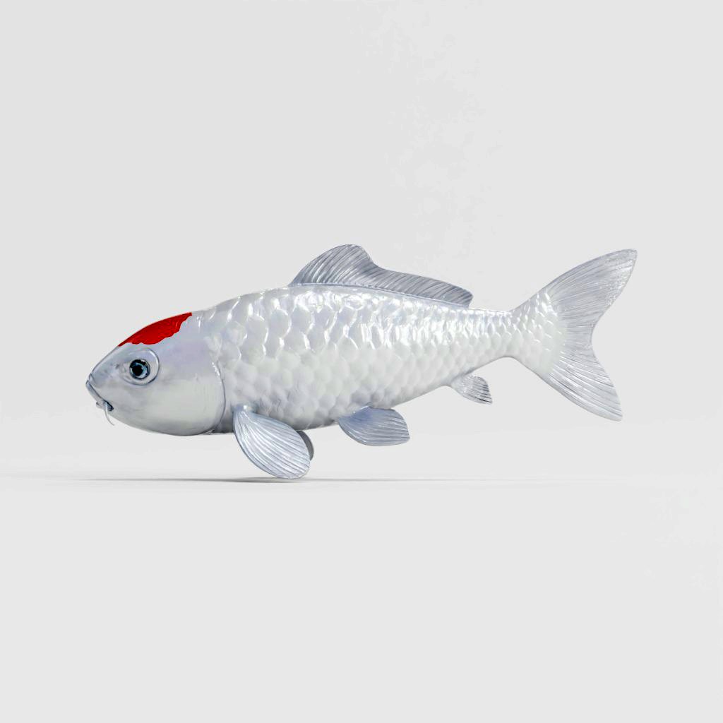 Animated Jellyfish | Fish models | BlenderKit