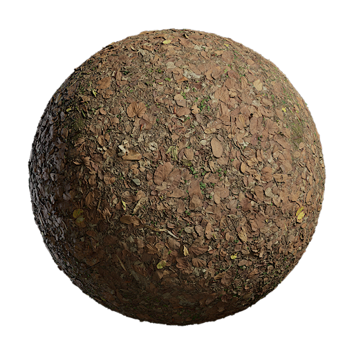 Deciduous Forest Ground | FREE ground materials | BlenderKit