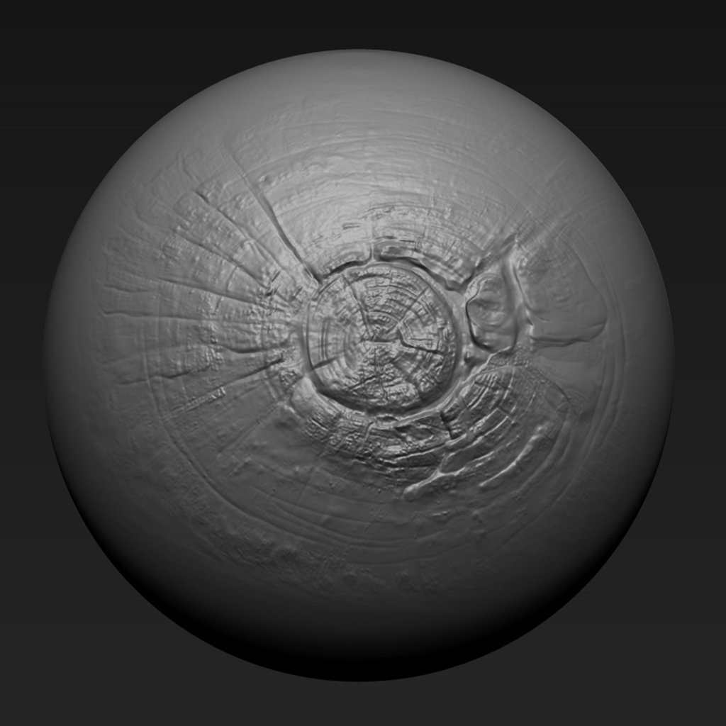NS Tree surface cross section bumpy | wood brushes | BlenderKit