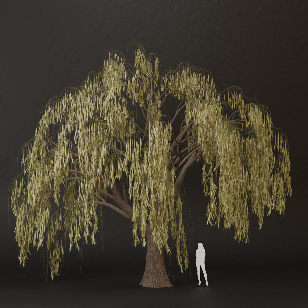 SJ-Mystic Hanging Green | Trees models | BlenderKit