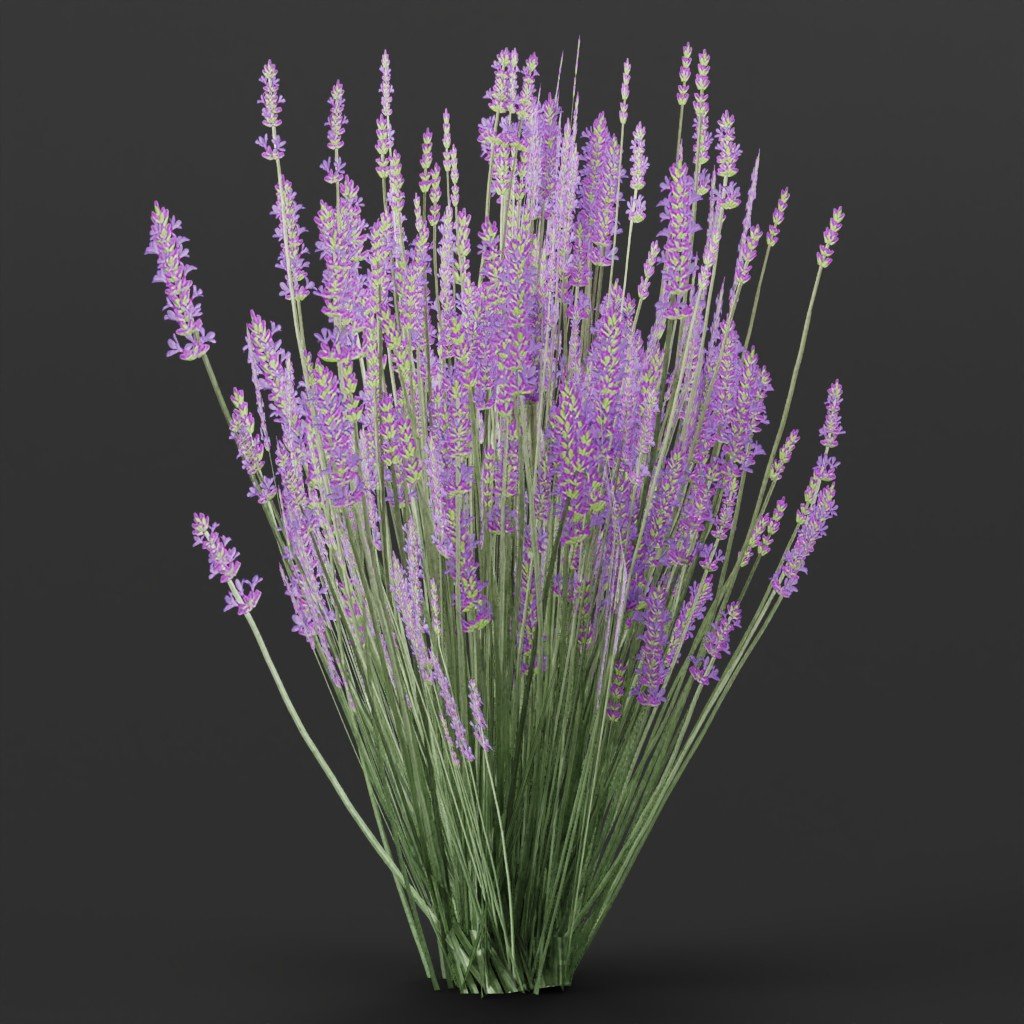 Lavender Flower Small | Outdoor Plants models | BlenderKit