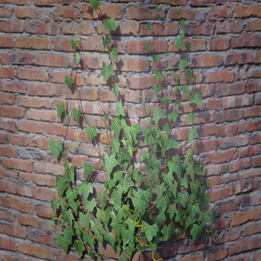 Ivy Creeper Wall Corner 1M 03 | Outdoor Plants models | BlenderKit