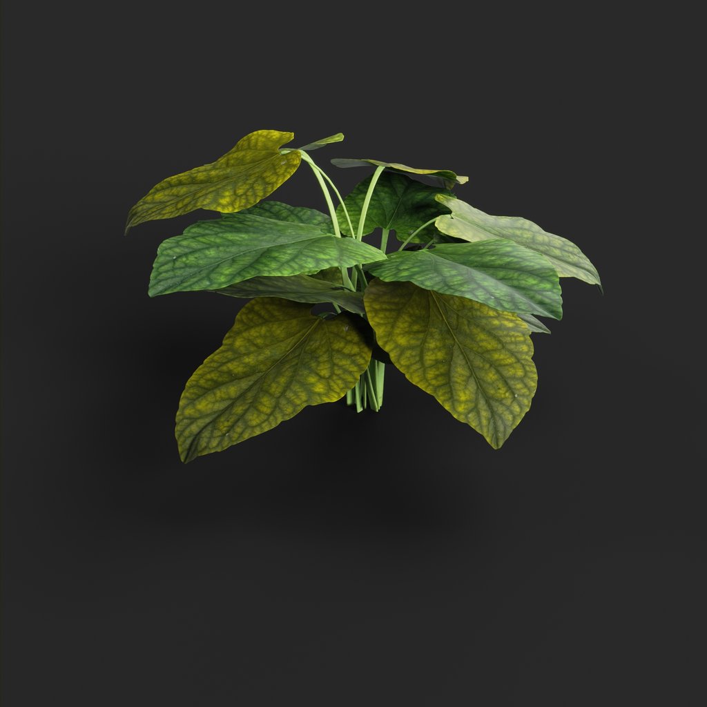 Procedural Ivy Generator GN | FREE 3D Bouquet models | BlenderKit
