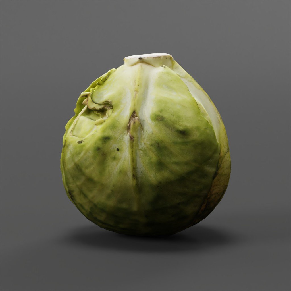 Cabbage scan | FREE Fruit & Vegetables models | BlenderKit