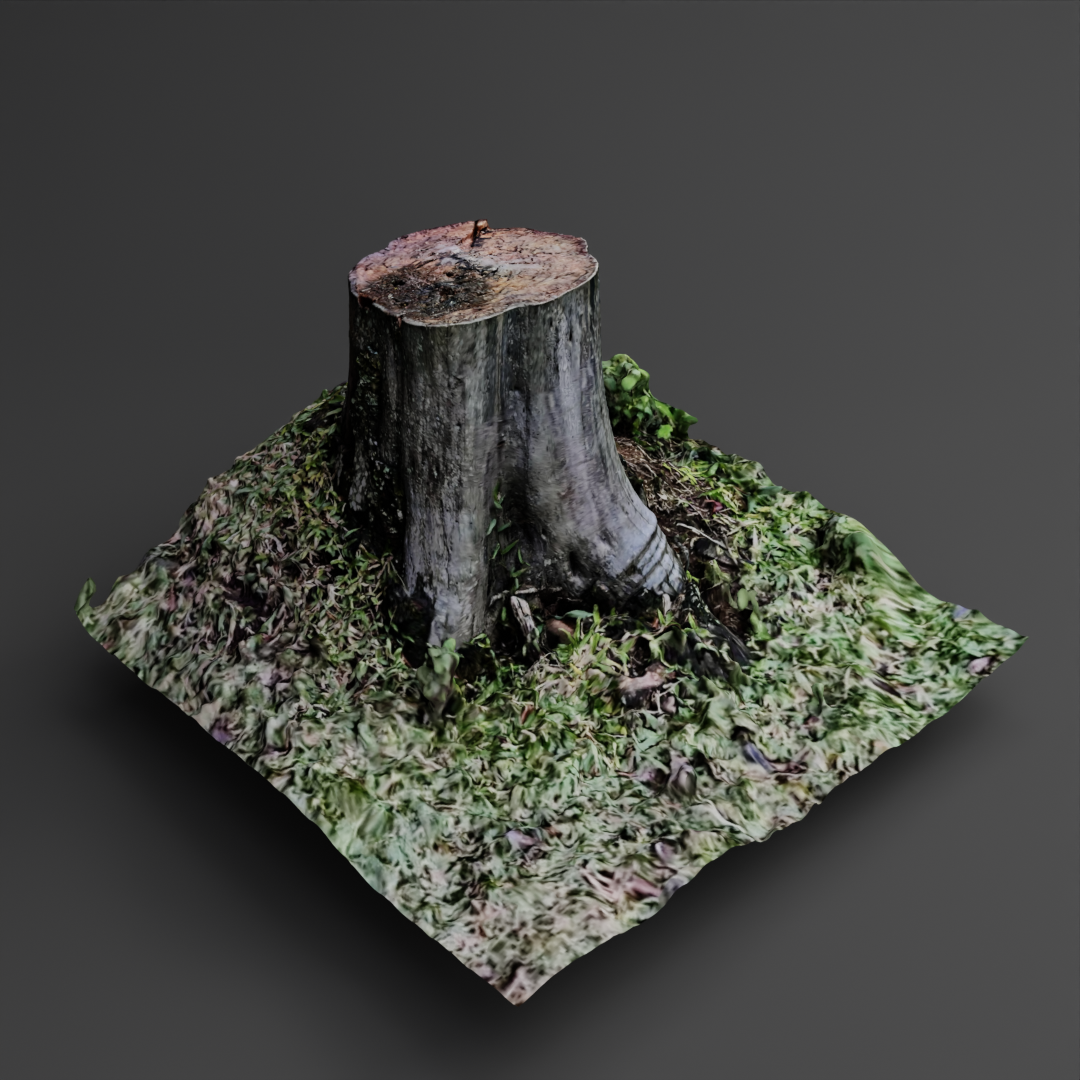 Tree Stump with Ground Patch | Environment Elements models | BlenderKit