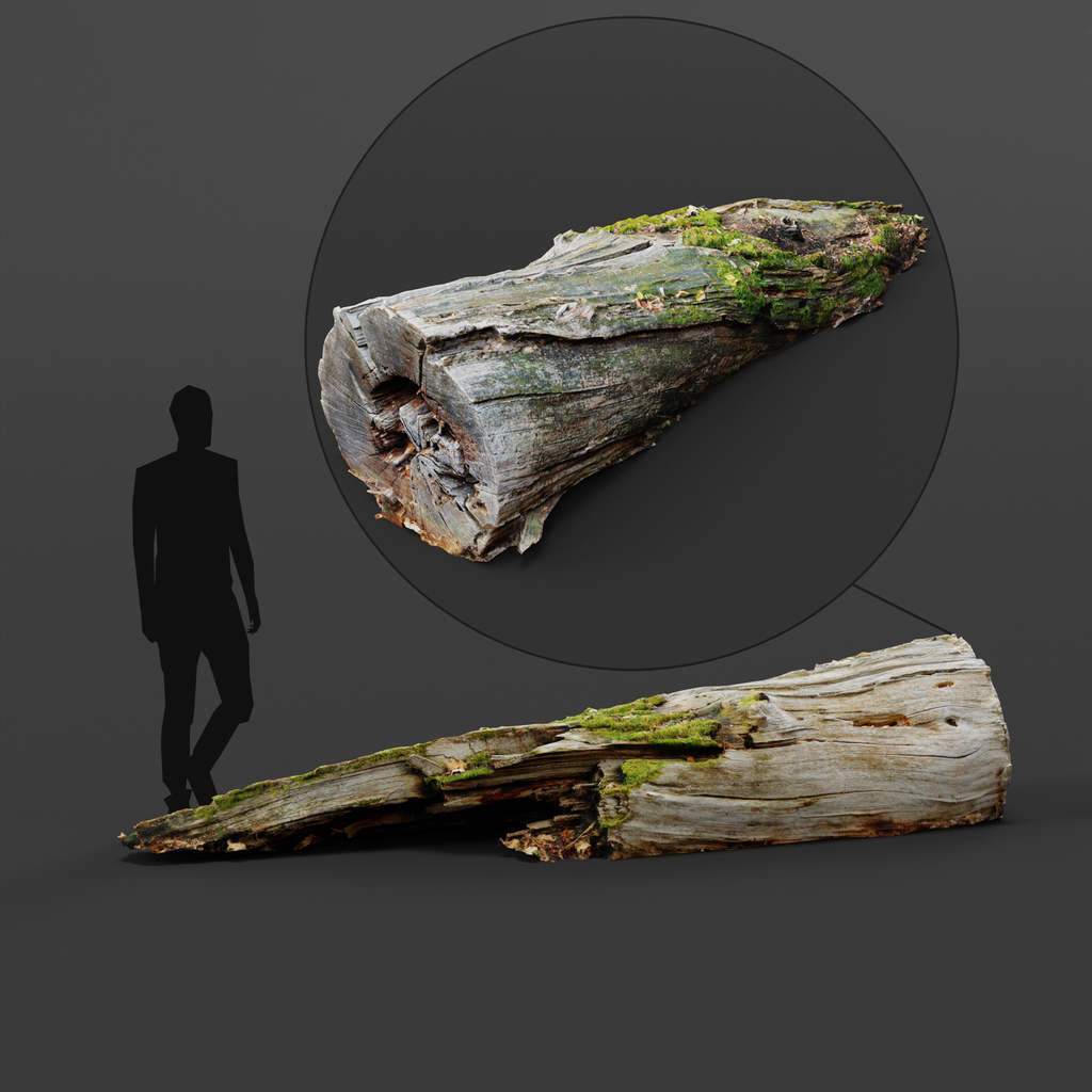 Mossy tree trunk big | Environment Elements models | BlenderKit