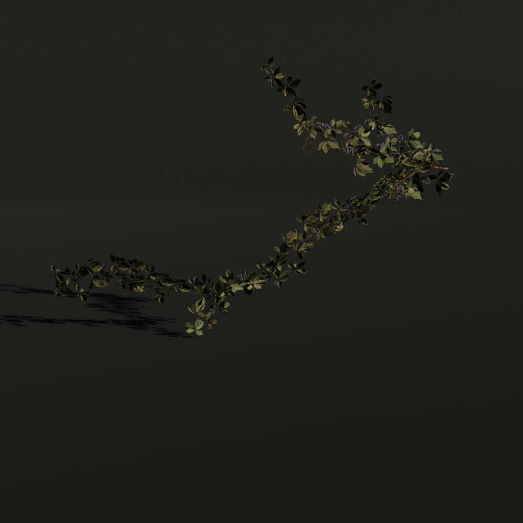 Creepers Vine c3 | Trees models | BlenderKit